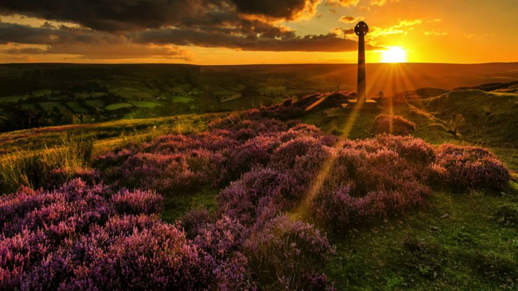 BBC Local Live: York and North Yorkshire on Friday 15 July 2016 - BBC News