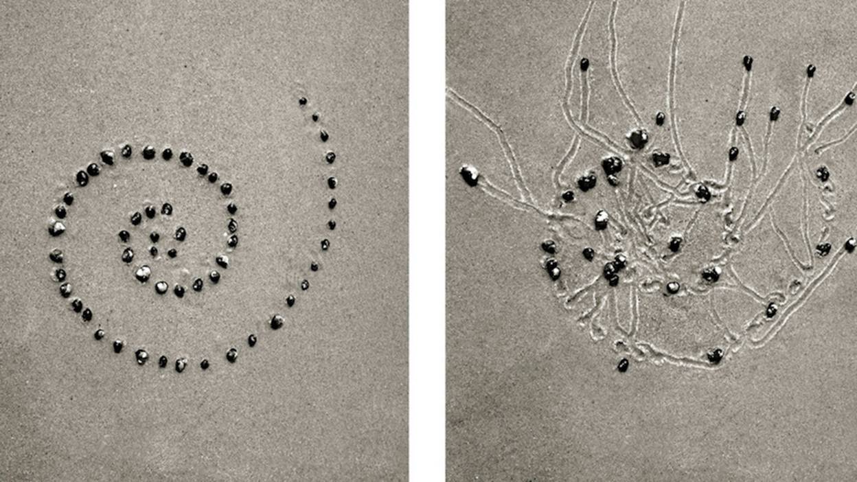 This artist's spent 20 years photographing snail trails and it's been ...