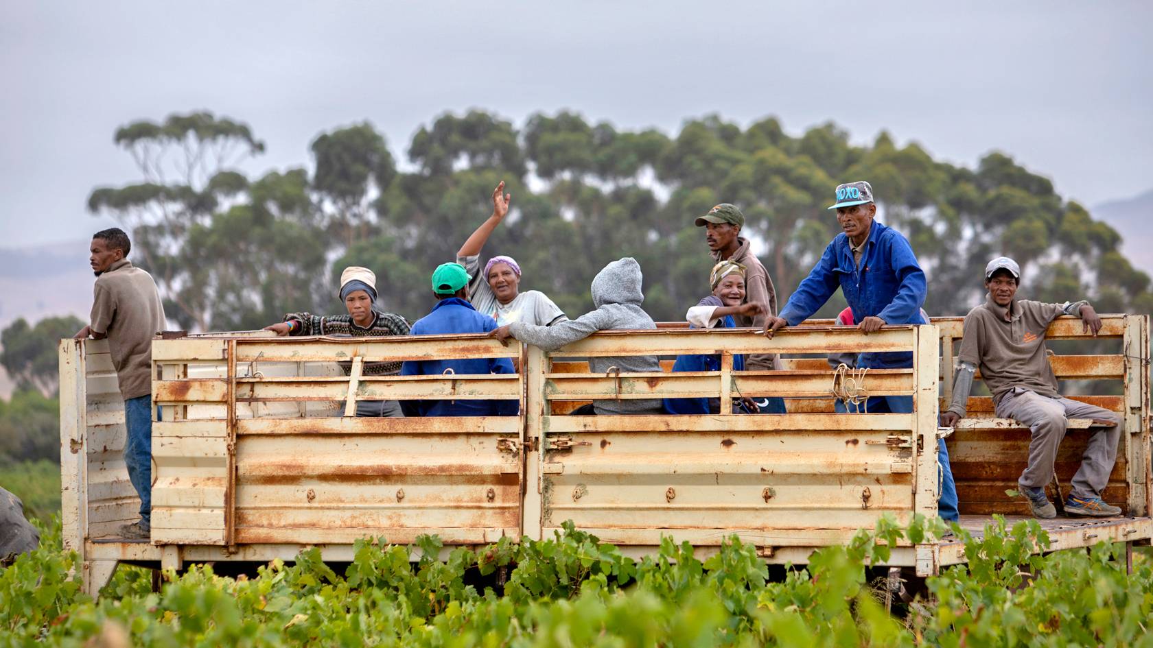 Africa Live this week: 19-25 February 2024 - BBC News