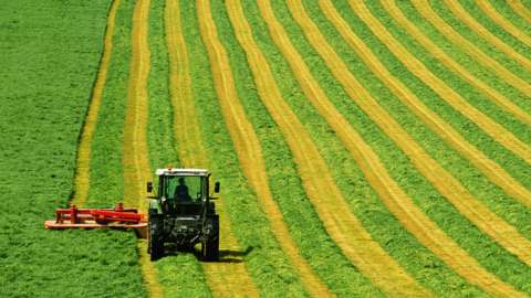 UK farming - BBC News