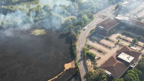 Watford - Latest News, Headlines and Entertainment from the BBC