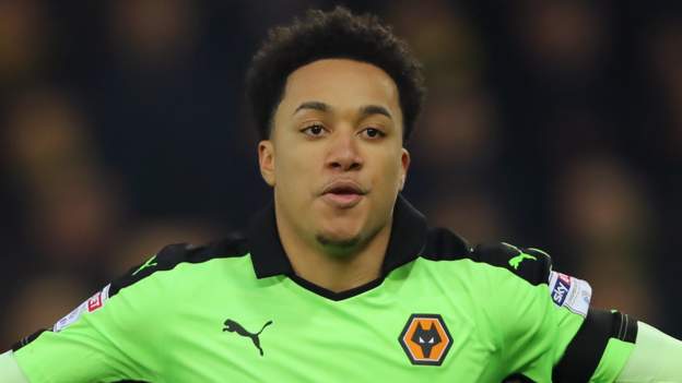 Helder Costa: Wolves sign Benfica winger for club record fee - BBC Sport