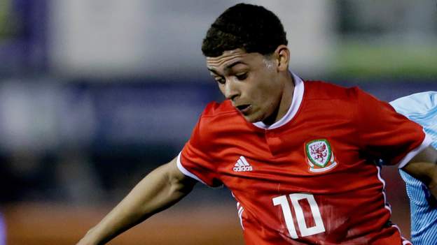 Brennan Johnson tipped for senior future after Wales lost out on father ...