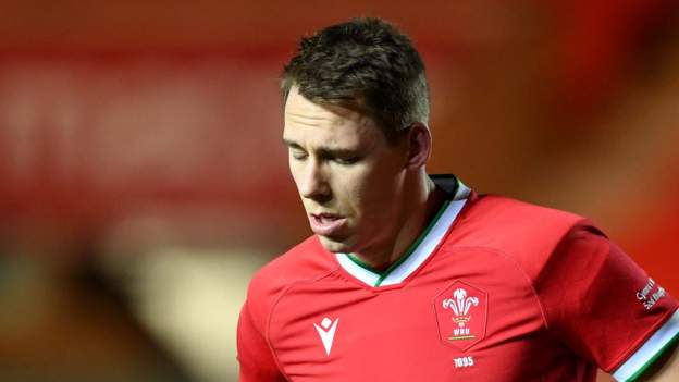 Liam Williams and Johnny Williams: Scarlets' Wales pair aim for Six ...