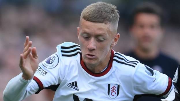 Fulham striker Jay Stansfield joins Exeter City on loan - BBC Sport