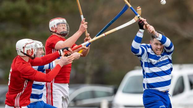 Shinty: Kingussie, Lovat, Newtonmore, Skye and Beauly enjoy MacTavish ...