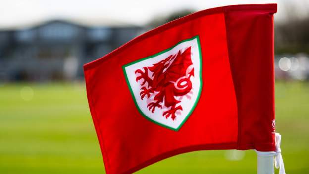 Football Association of Wales records £1m loss at start of Covid-19 ...