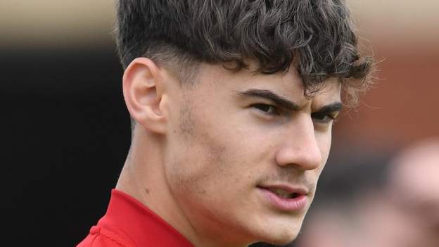 Elliot Thorpe: Burton Albion sign Luton midfielder on season-long loan ...