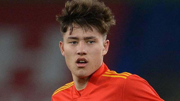 Rubin Colwill: Calls grow for Cardiff City to give Wales midfielder ...