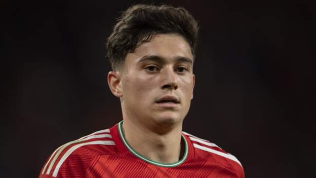 World Cup 2022: Wales' Daniel James heads to Qatar inspired by late ...