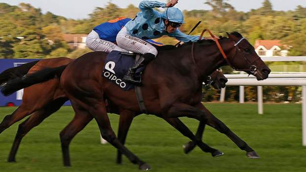 Almanzor: Last season's champion three-year-old retired to stud - BBC Sport