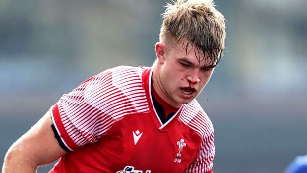 James Fender: Cornish Pirates bring in Ospreys lock on loan - BBC Sport