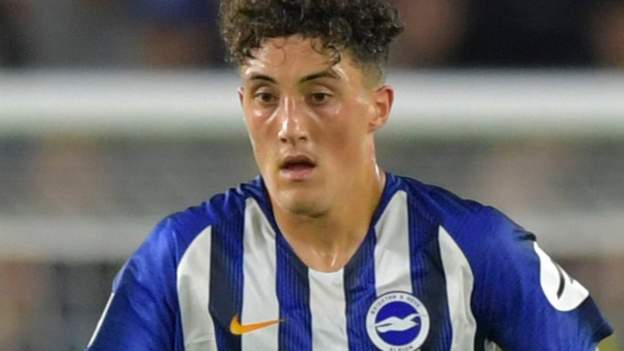 Haydon Roberts: Rochdale sign Brighton youngster on loan - BBC Sport