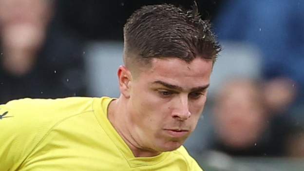 Cameron Devlin: Hearts sign Australian midfielder as Mihai Popescu ...