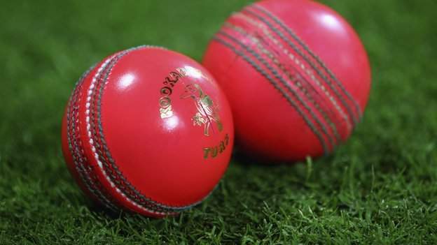 Day-night Test: Australia & New Zealand to play with pink ball - BBC Sport