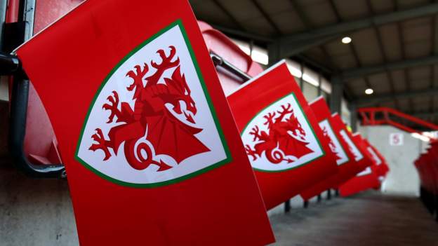 Football Association of Wales: The state of play for Welsh football ...