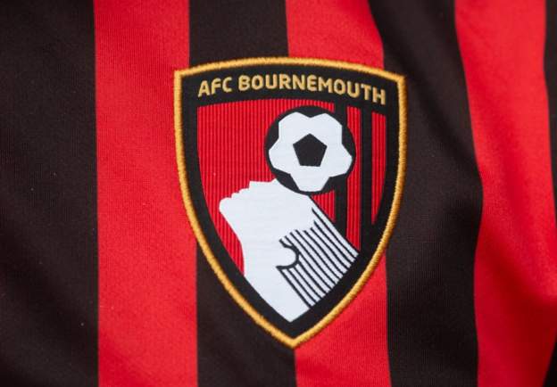 Bournemouth: Which summer signing do you expect to make the most impact ...