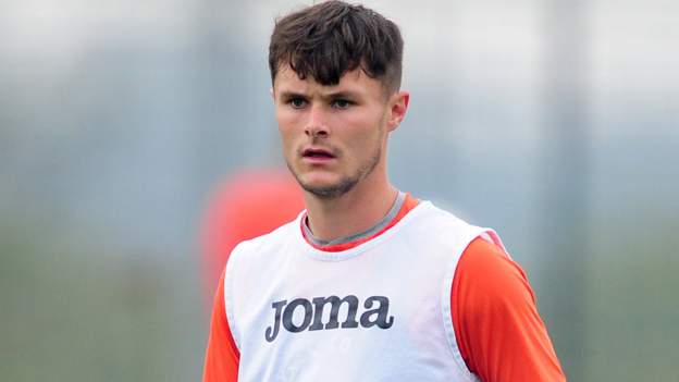 Liam Cullen: Boss Steve Cooper has high hopes for Swansea City's latest ...