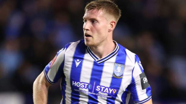 Cardiff City recall defender Mark McGuinness from Owls loan - BBC Sport