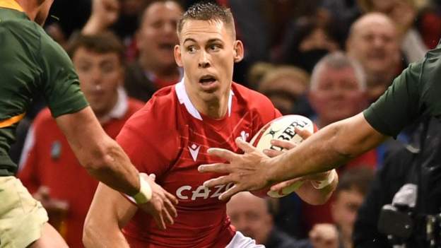 Wales' Liam Williams says pitch invaders are 'unacceptable' - BBC Sport
