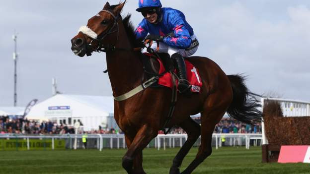 Cue Card: Colin Tizzard-trained horse is retired - BBC Sport
