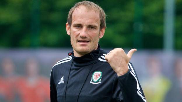 David Adams named as Osian Roberts' successor by FAW Trust - BBC Sport