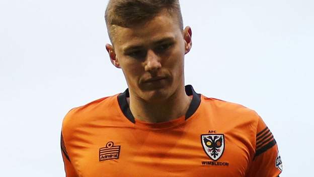 AFC Wimbledon extend Ben Wilson loan from Cardiff City - BBC Sport