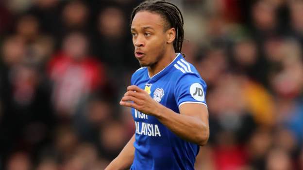Bobby Reid & Harrison Reed: Fulham sign Cardiff City forward ...