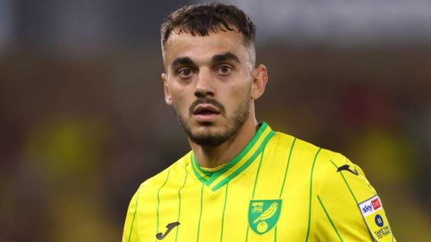 Danel Sinani: Winger moves to Germany after Norwich contract expires ...