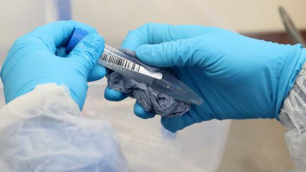 Coronavirus: One positive result in latest round of Premier League ...