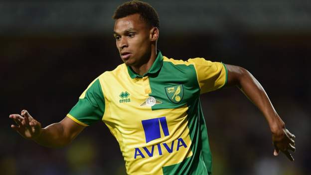 Josh Murphy: MK Dons sign Norwich City winger on loan - BBC Sport
