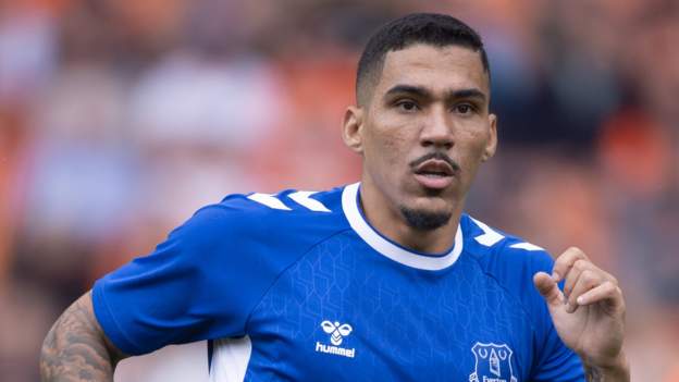 Allan: Everton midfielder joins Al Wahda of the UAE - BBC Sport