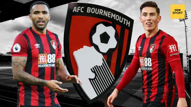 Bournemouth quiz: Are you the ultimate Bournemouth fan? - BBC Sport
