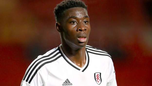 Elijah Adebayo: Fulham striker joins Cheltenham Town on loan - BBC Sport