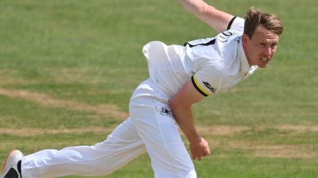 George Scott: Somerset sign Gloucestershire all-rounder on loan for One ...