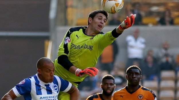 Emiliano Martinez: Wolves goalkeeper out until January - BBC Sport