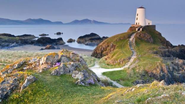 Devon - BBC News