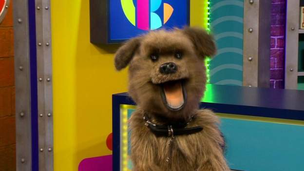 International Handstand Day: Hacker T Dog of CBBC joins in - and gets ...