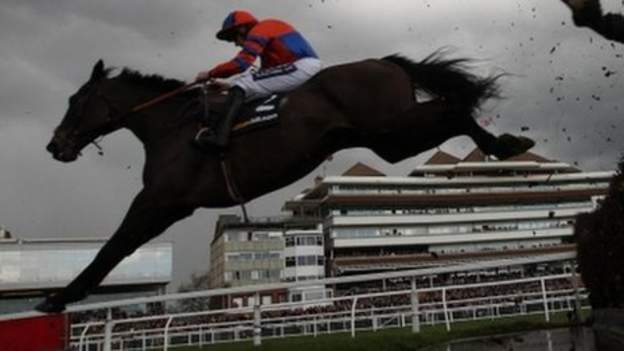 Niche Market retired with injury by owner Graham Regan - BBC Sport