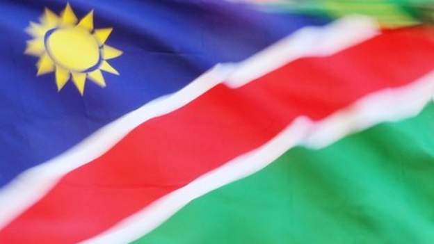 Roger Palmgren appointed Namibia coach - BBC Sport