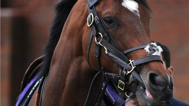 Frankel: 'Super stud' stallion in demand for £125,000 a time - BBC Sport