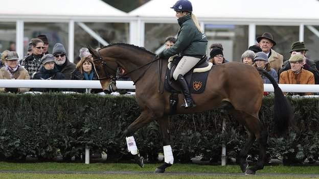 Kauto Star: One year on - from jump racing to dressage - BBC Sport