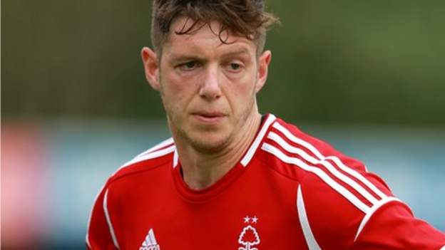 Greg Halford: Brighton sign Nottingham Forest man on loan - BBC Sport