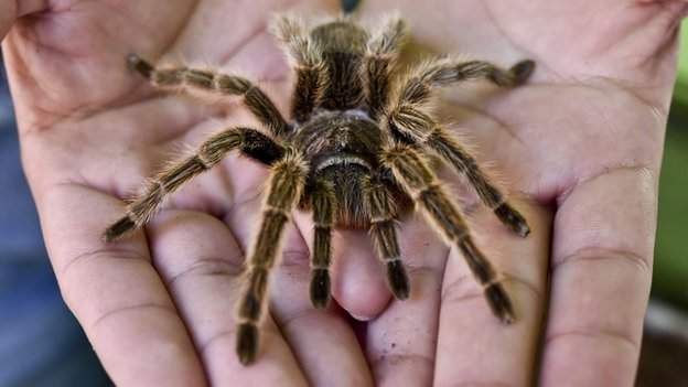 Kell Brook: A fear of spiders, crying at sad films and being Bruce Lee ...