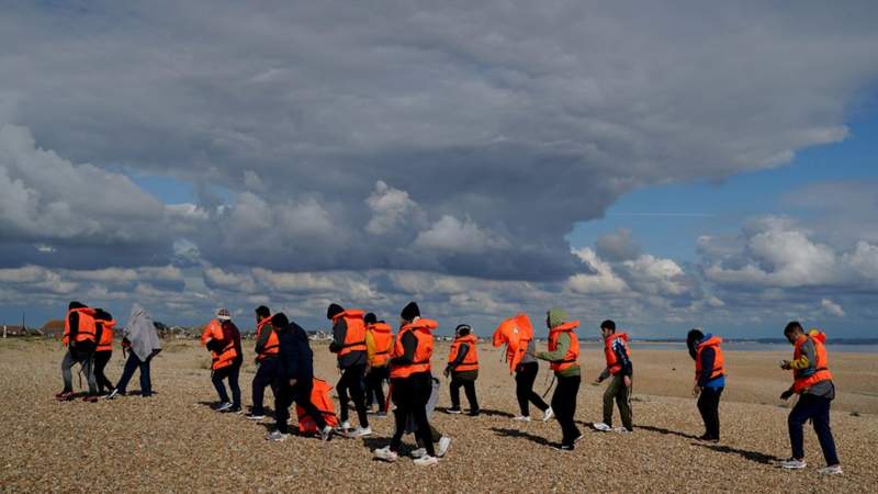 Migration - BBC News