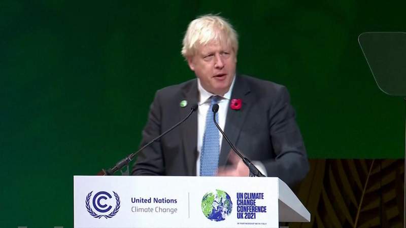 Deforestation - BBC News