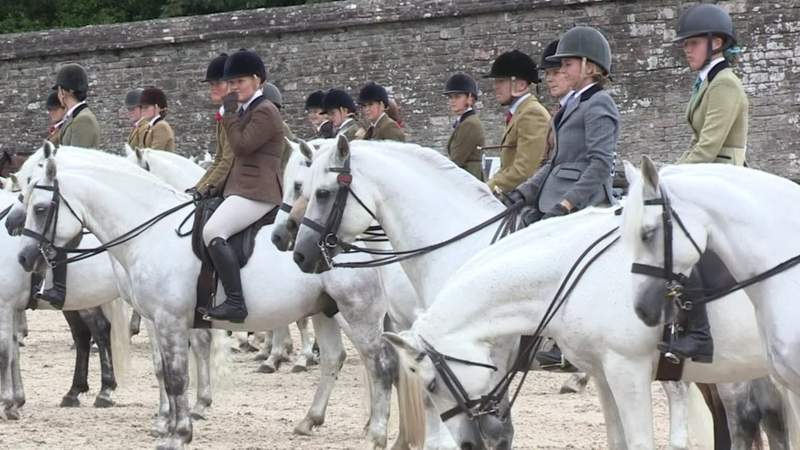 Equestrian - BBC Sport