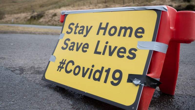 Nick Triggle | BBC News