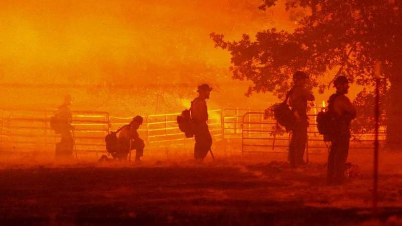 Wildfires - BBC News