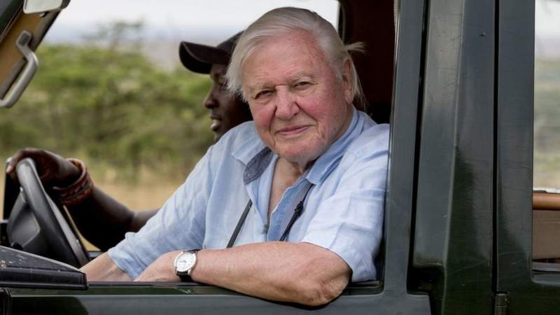 David Attenborough - BBC News